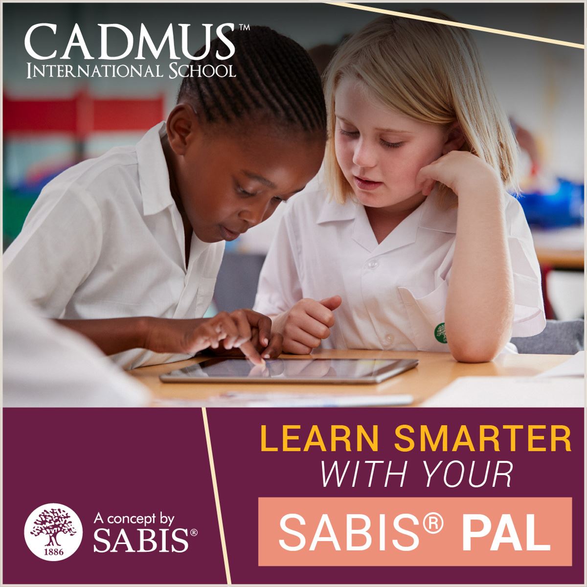 SABIS® Personalized Adaptive Learning (PAL) - CADMUS® International ...